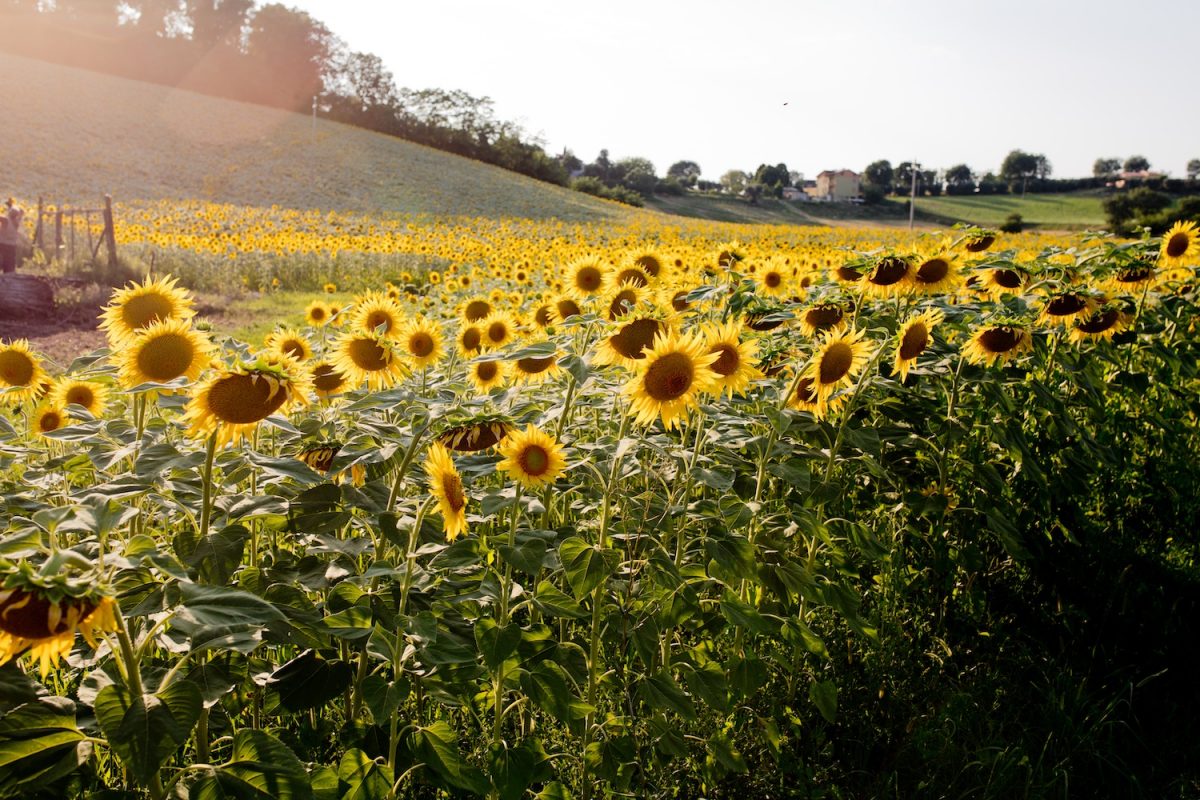 Micro trip to Marche, Italy | Vacanze italiane - how to get there