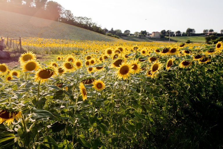 Micro trip to Marche, Italy | Vacanze italiane - how to get there