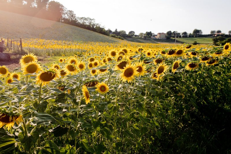 Micro trip to Marche, Italy | Vacanze italiane - how to get there