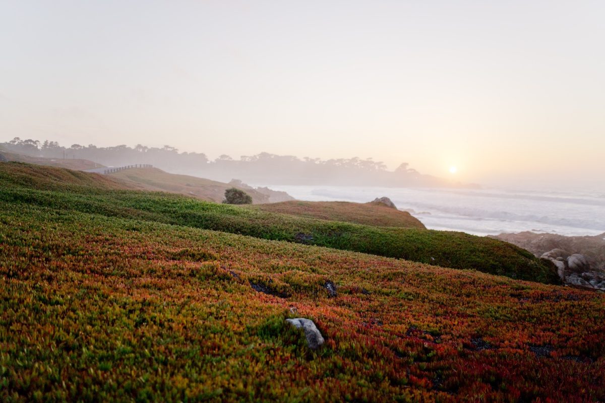 (English) Highway 1 & the scenic 17 Mile Drive | the most important stops