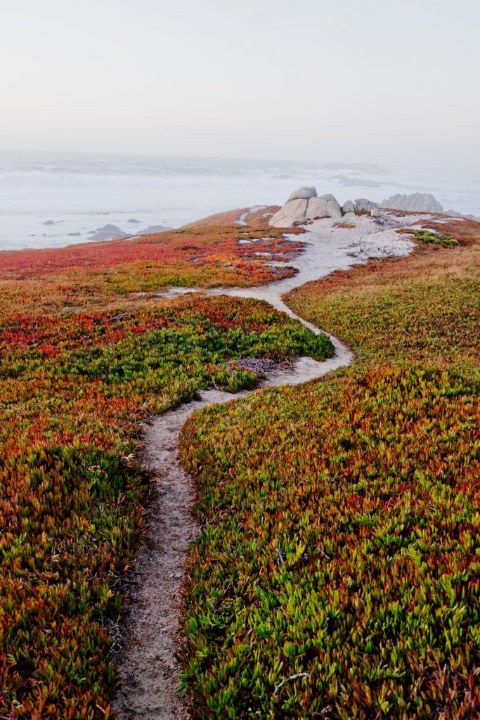 (English) Highway 1 & the scenic 17 Mile Drive | the most important stops